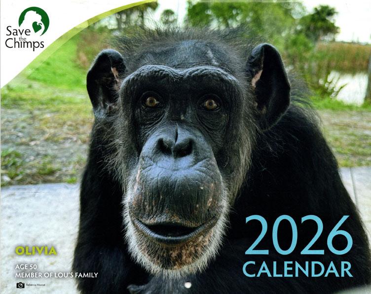 2026 WALL CALENDAR - Save The Chimps