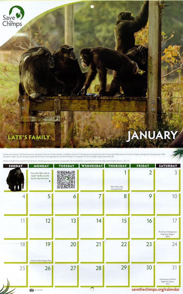 2026 WALL CALENDAR - Save The Chimps